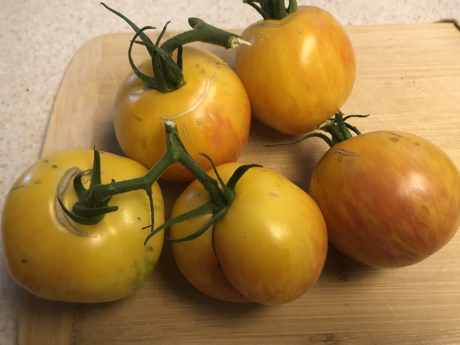 Lava Flow Heirloom Tomato of the Week - 5280heirlooms.com