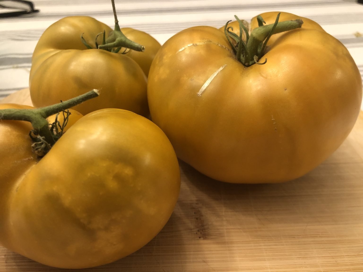What are Heirloom Tomatoes and What Makes Them Unique? - 5280heirlooms.com
